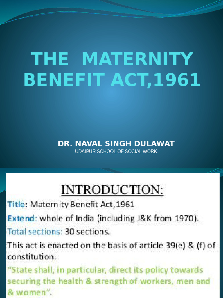 Maternity Act | PDF