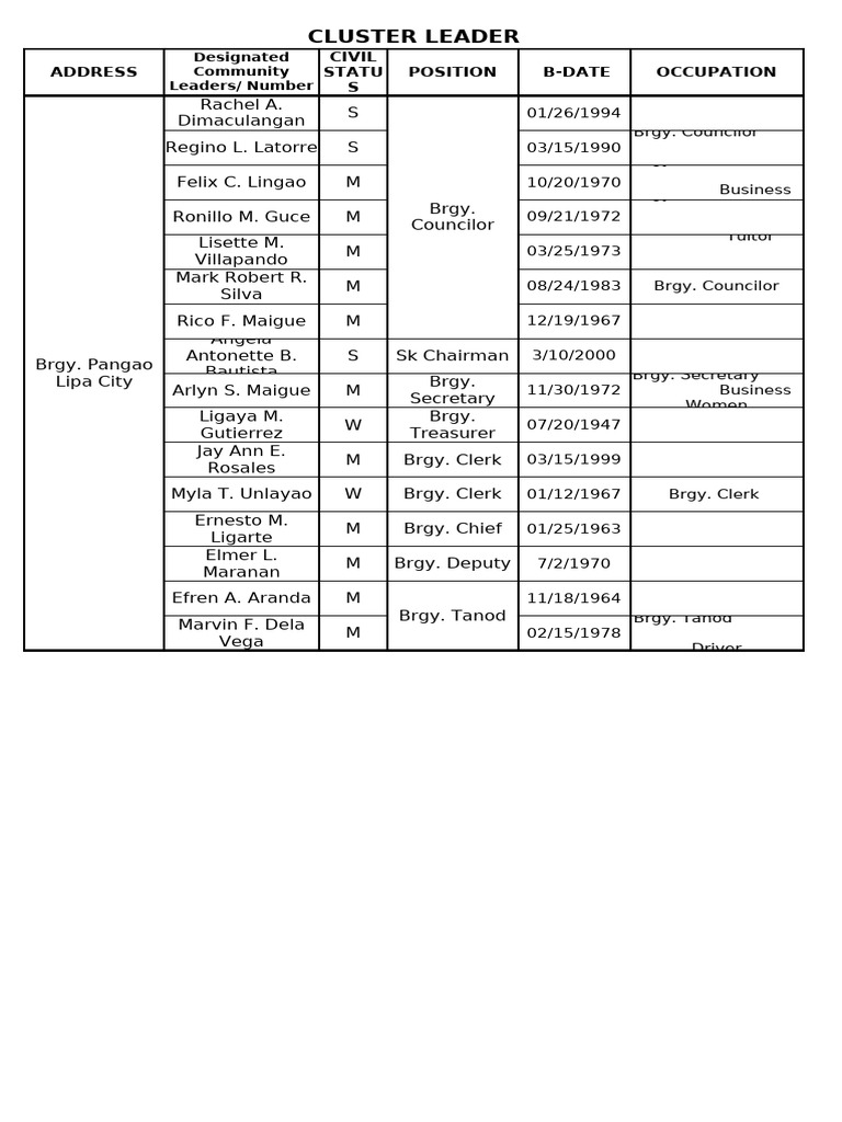 Cluster Leader | PDF