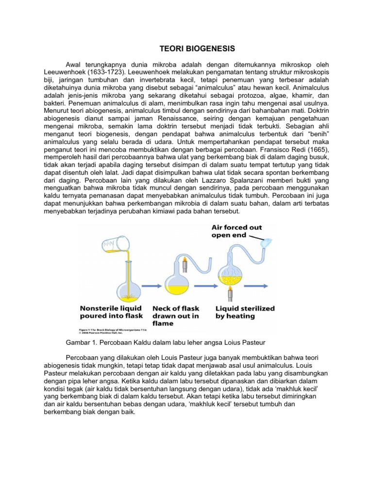 Tugas TEORI BIOGENESIS | PDF