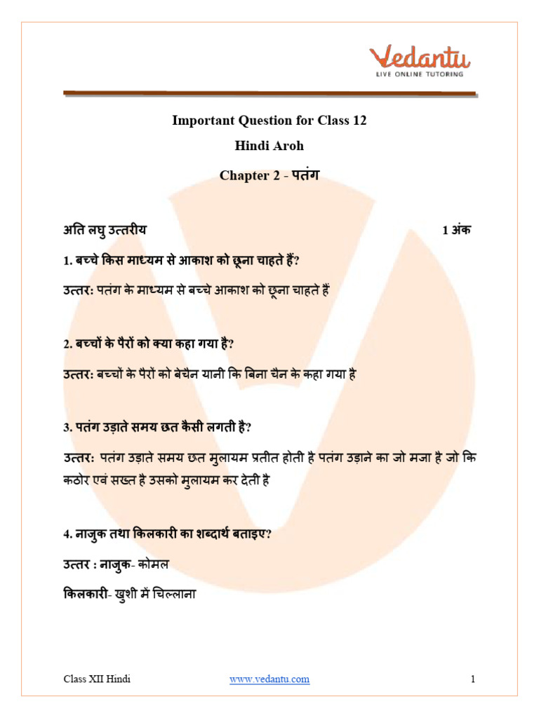 NCERT Solved Important Questions For Class 12 Hindi Aaroh Chapter 2 Patang | PDF