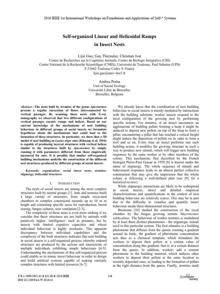 Linear Nest in Insect Nest | PDF
