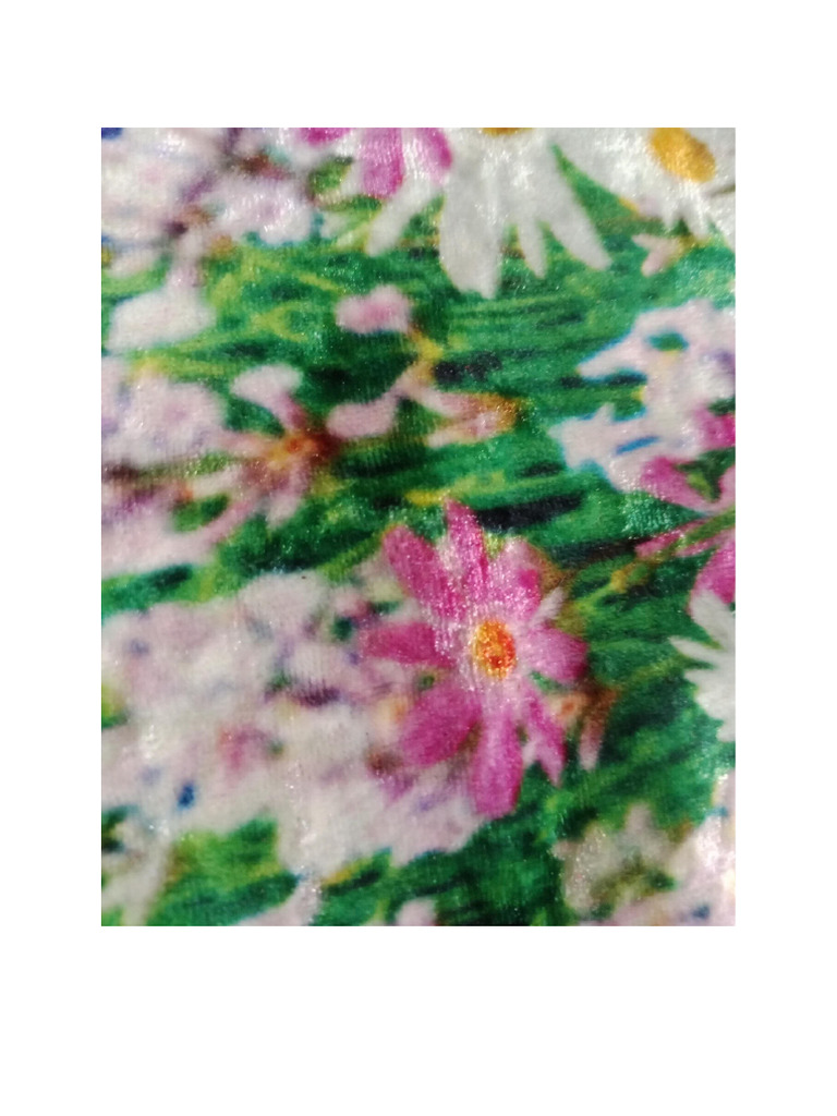 ZZZZZ | PDF
