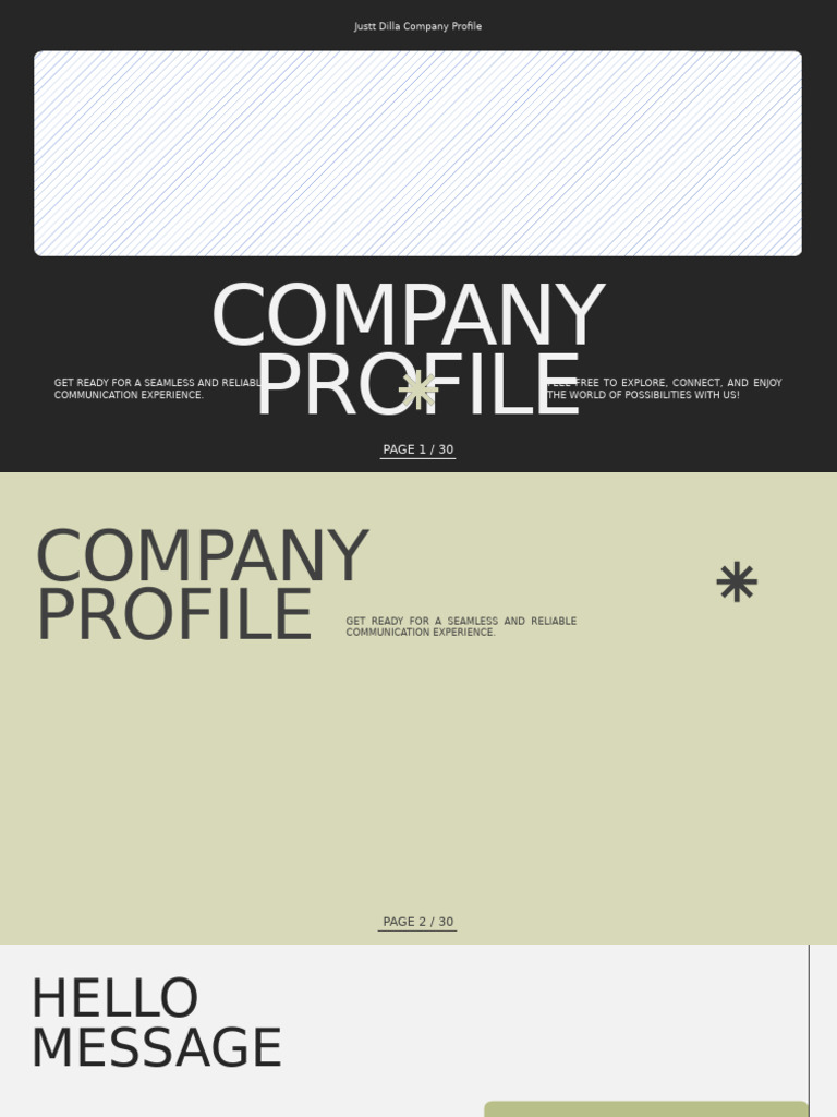 Justt Dilla Company Profile Overview | PDF | Brand | Human Communication