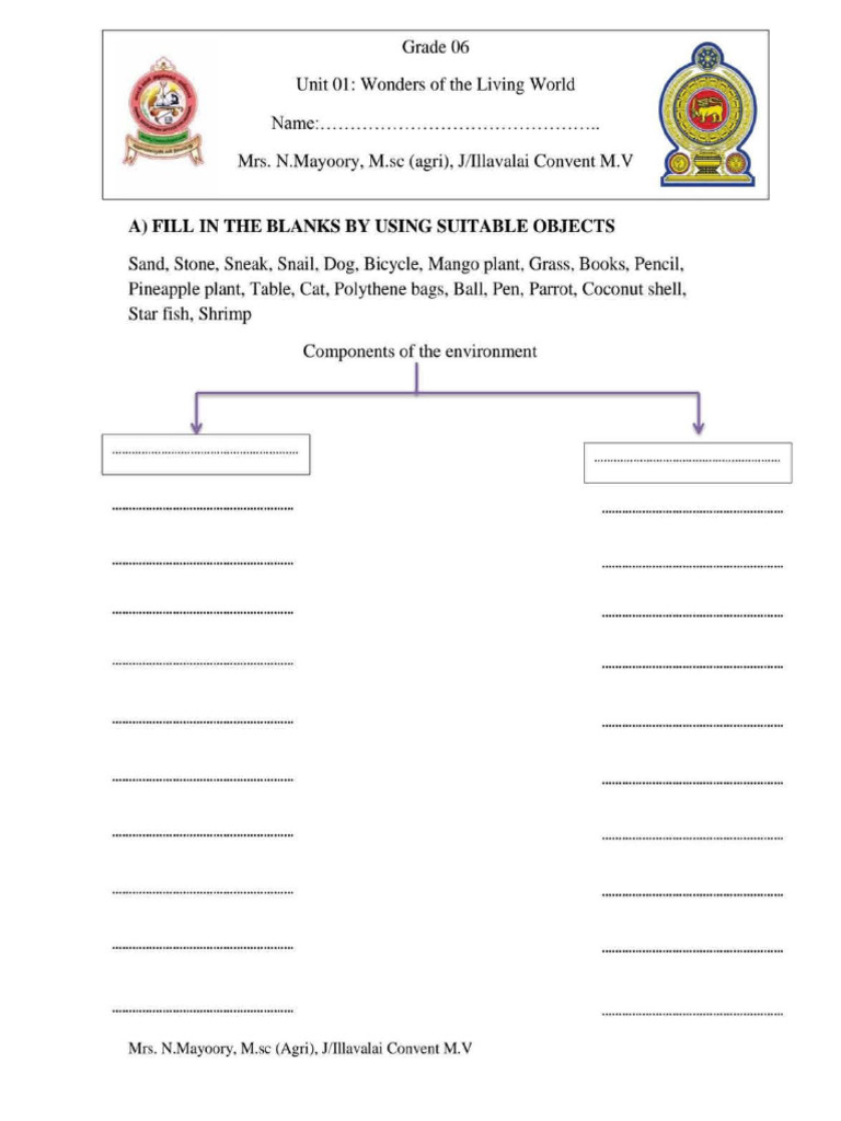Grade 6 Unit 1 Paper | PDF