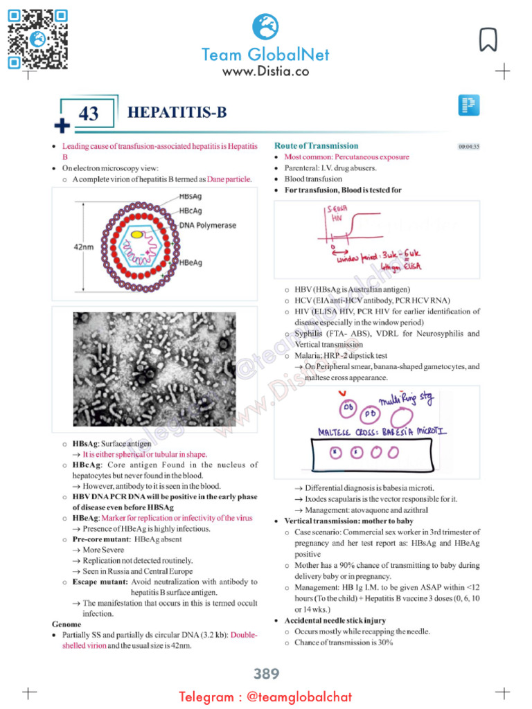 Liver V5 | PDF