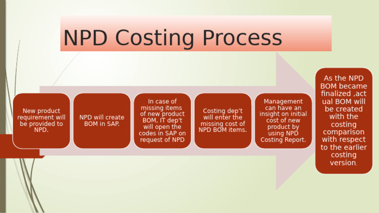 NPD Costing Process Overview | PDF