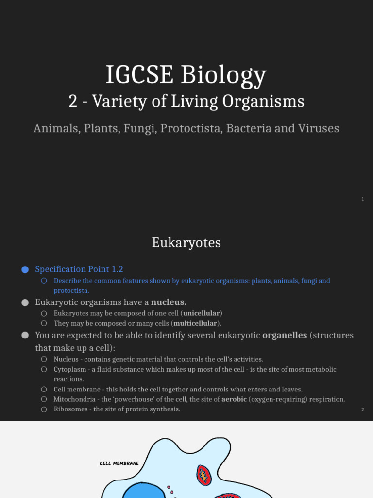 IGCSE Biology Lecture 2 Variety of Living Organisms | PDF | Cell ...