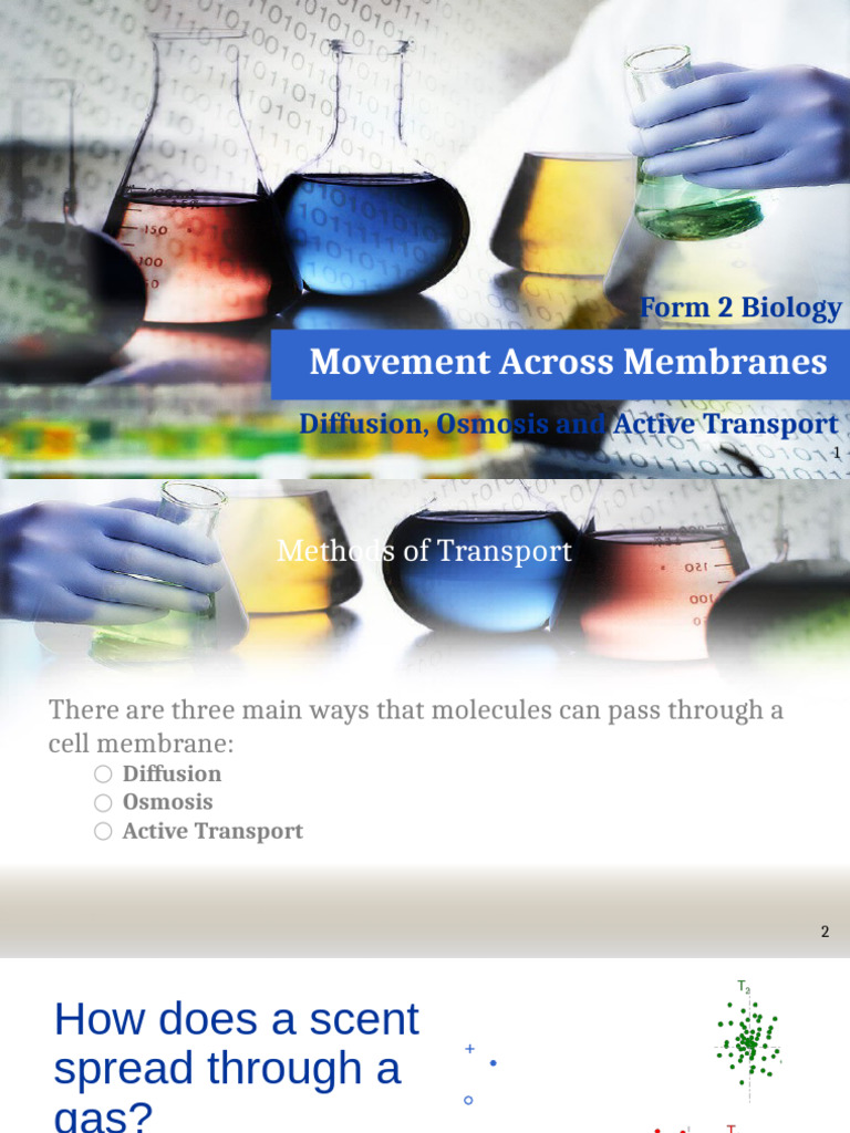 IGCSE Biology Lecture 10 Movement Across Membranes | PDF | Diffusion | Osmosis