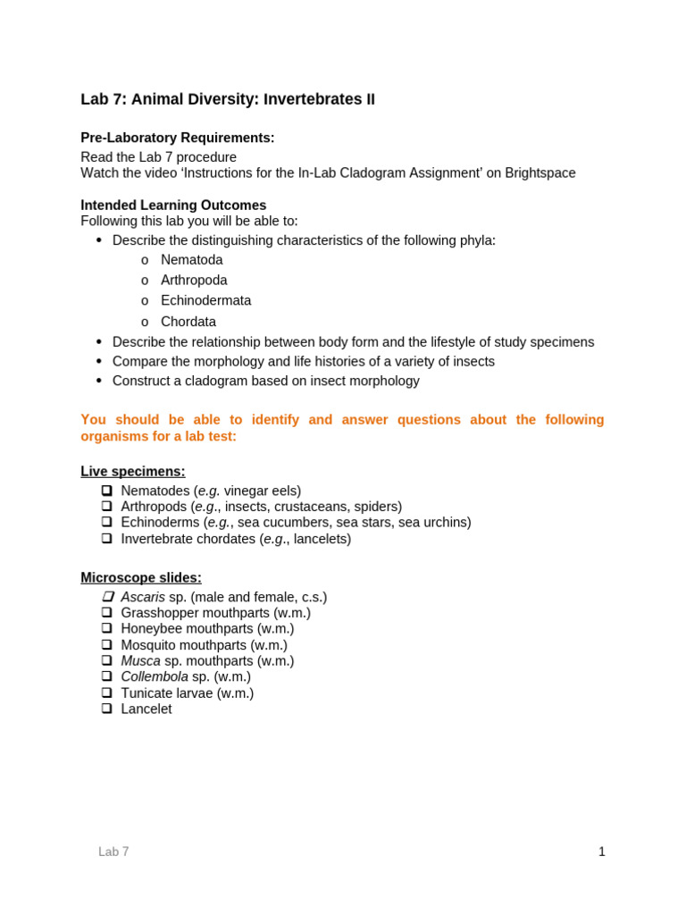 Lab 7 Procedure Inverts2 Fall2024 | PDF | Invertebrate | Biology