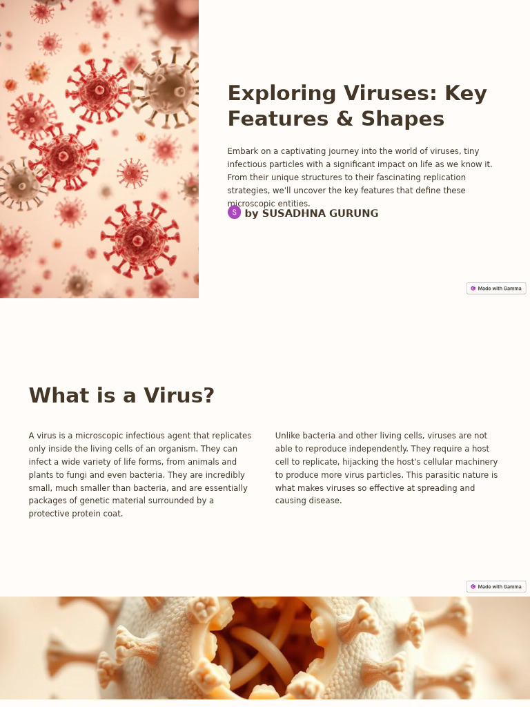 Exploring Viruses Key Features and Shapes | PDF | Virus | Microorganism
