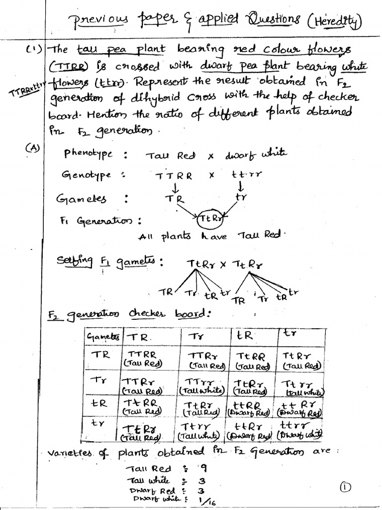 heredity applied by gnr | PDF