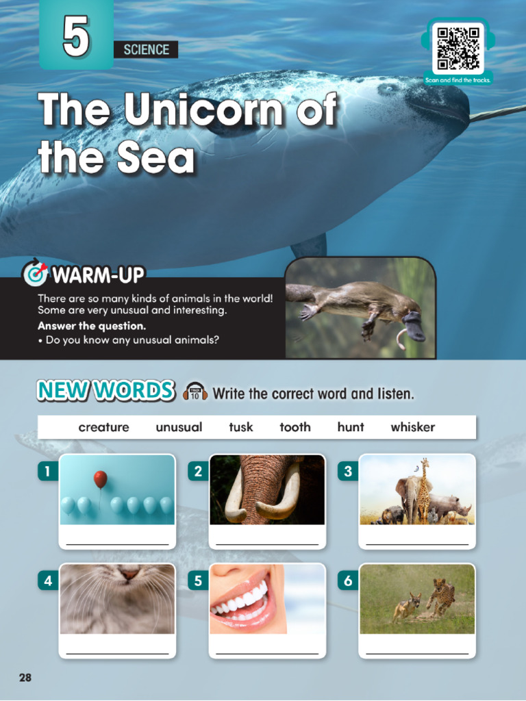 Reading Future Develop 1 Unit 5 | PDF