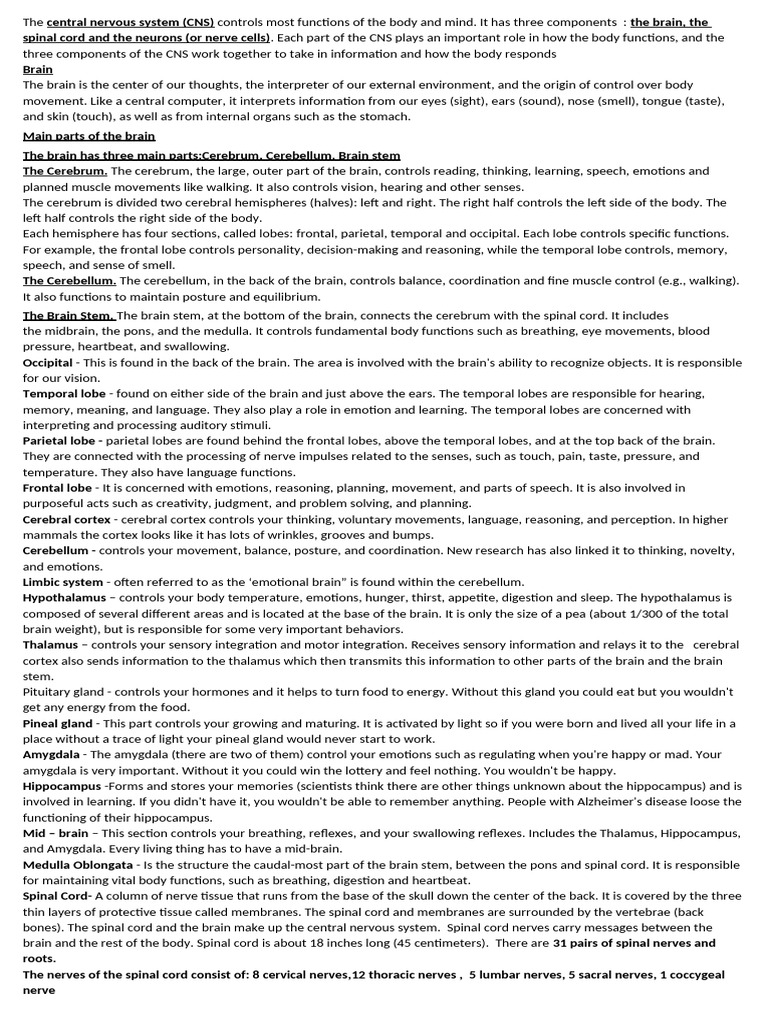 The Central ner-WPS Office | PDF | Cerebellum | Chemical Synapse