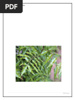 Neem Tree - Nature's Gift to Mankind | PDF