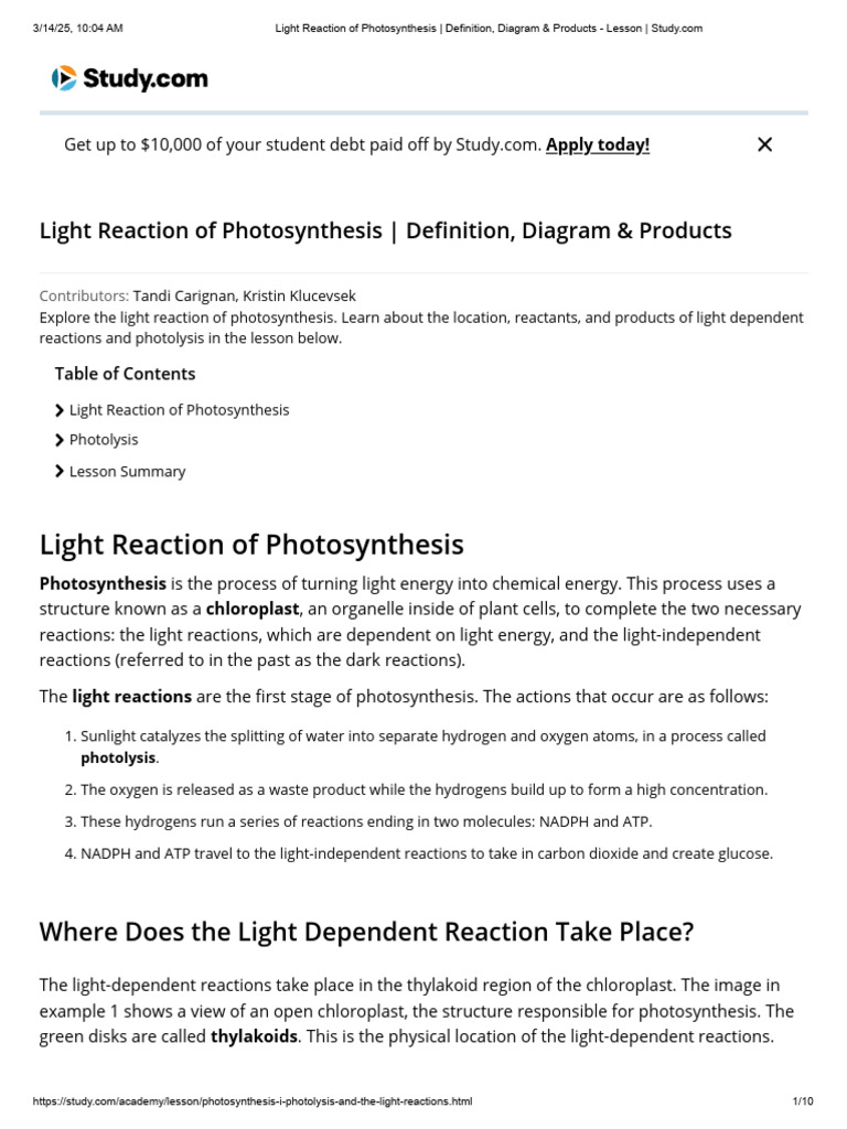 Light Reaction of Photosynthesis - Definition, Diagram & Products ...