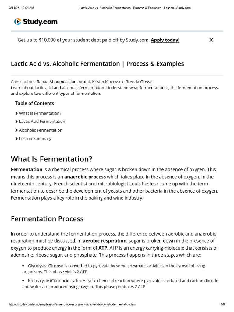 Lactic Acid vs. Alcoholic Fermentation - Process & Examples - Lesson ...