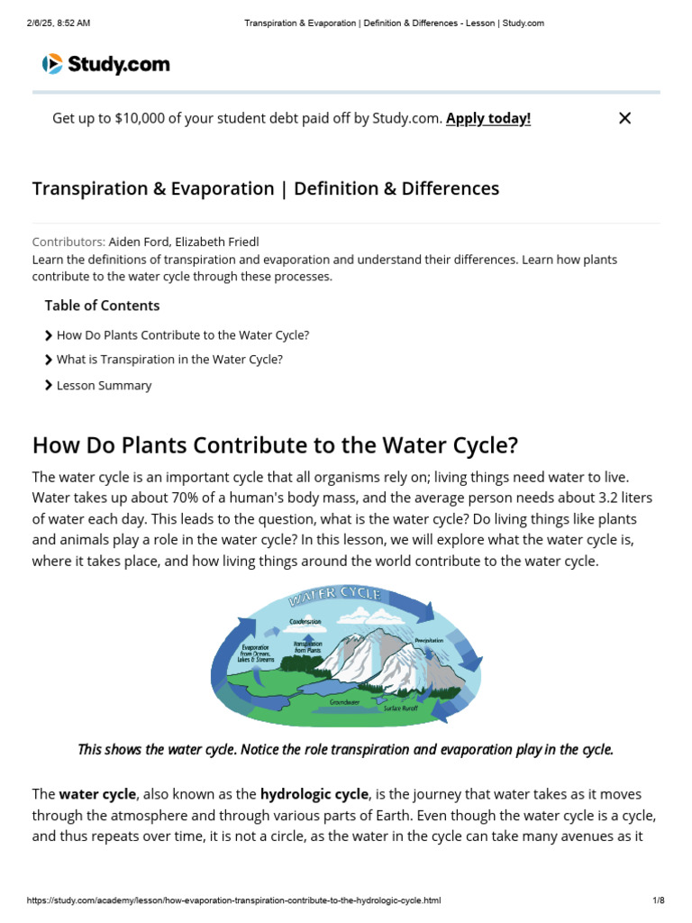 Transpiration and Evaporation Explained | PDF | Evaporation | Water