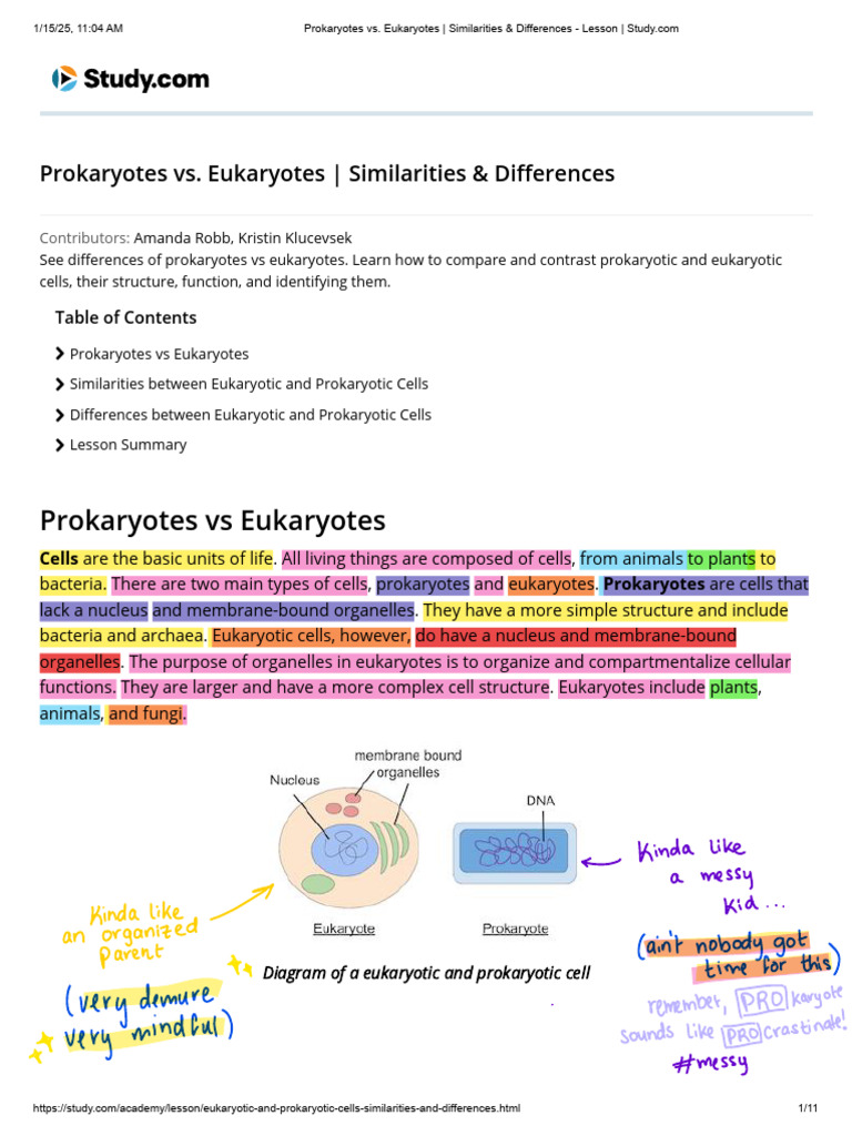 Prokaryotes vs Eukaryotes Explained | PDF | Cell (Biology) | Eukaryotes