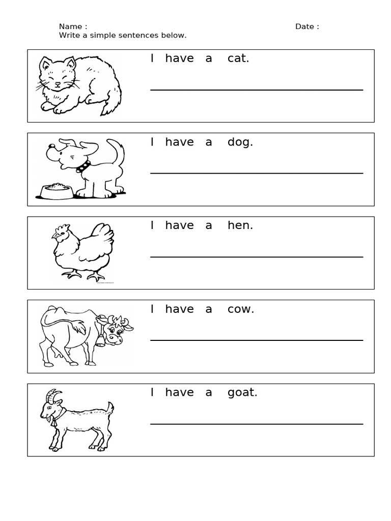 Write Simple Sentences - Tame Animal | PDF
