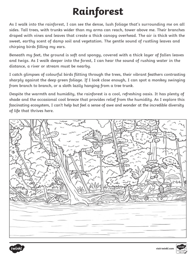 T e 1681282353 Rainforest Setting Description Example Text - Ver - 2 | PDF