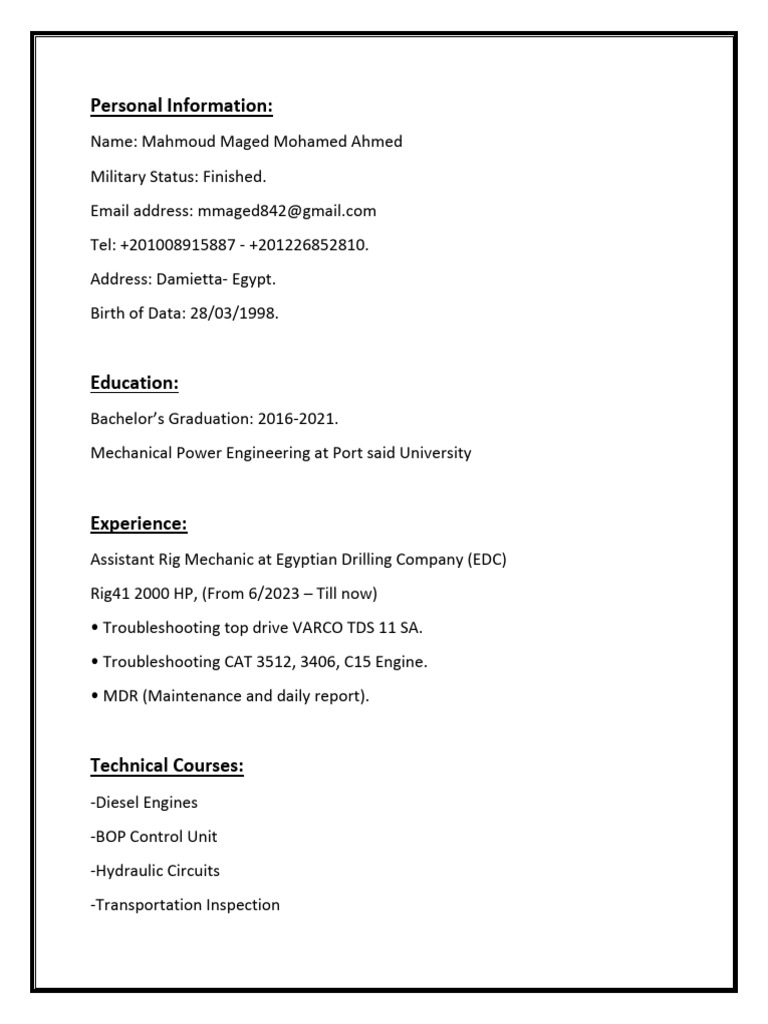 Mahmoud Maged, CV | PDF