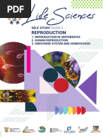 Life Sciences Study Guide Grade 12 | PDF | Menstrual Cycle | Fertilisation