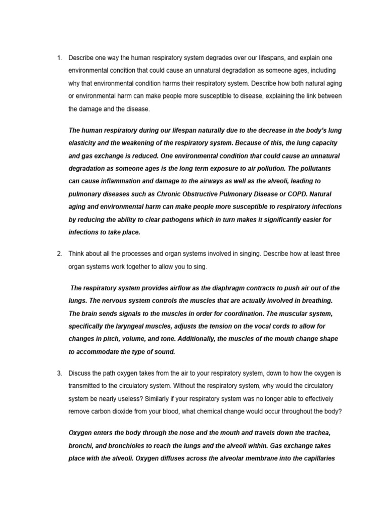 Unit 2 Critical Thinking Dropbox | PDF | Respiratory System | Lung