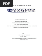 How Long Does It Takes For A Paper To Decompose | PDF | Paper ...