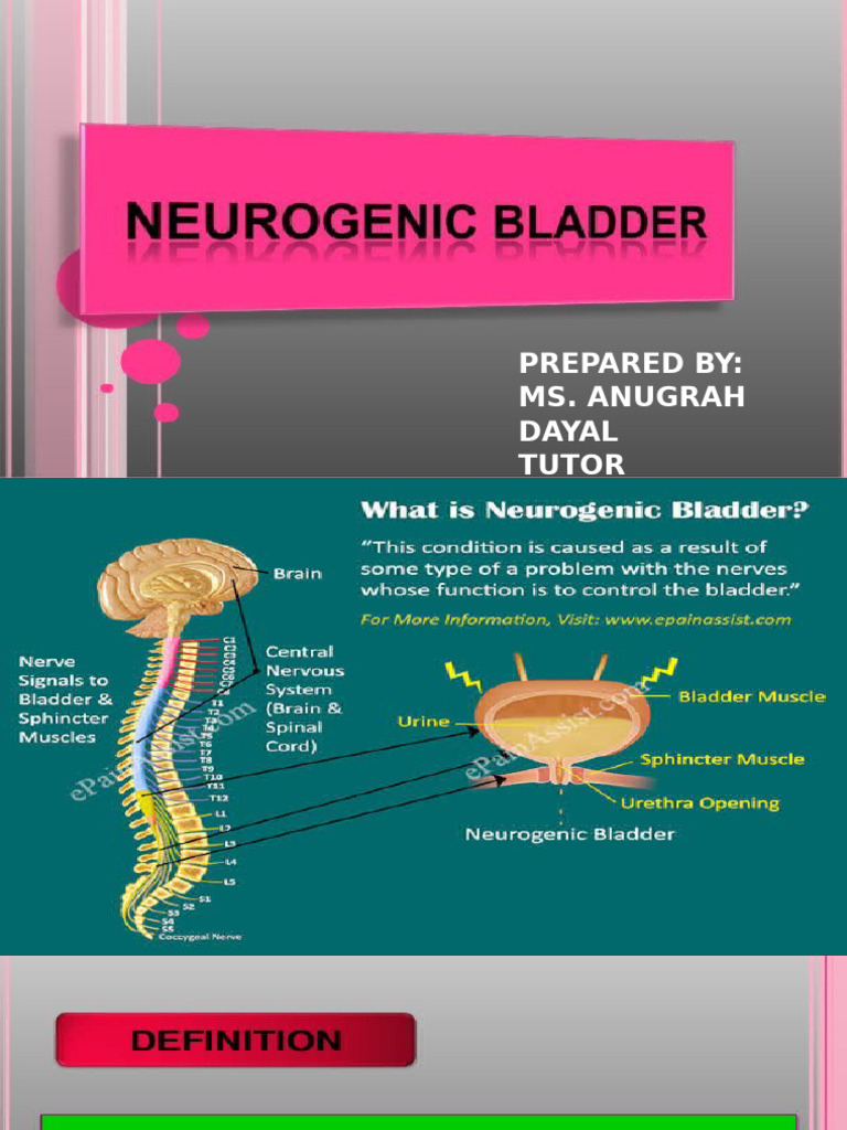 Neurogenic Bladder | PDF