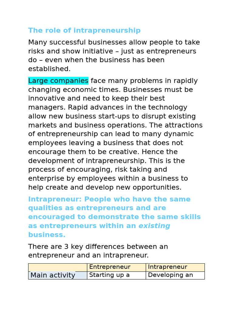 The Role of Intrapreneurship - As Level | PDF | Partnership | Franchising