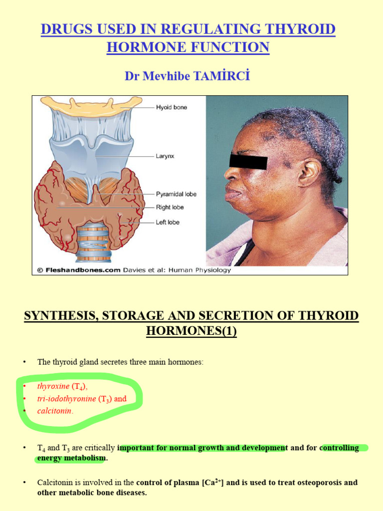 2 - Lecture - PHAR307 Pharmacology III - Thyroid Hormone | PDF | Thyroid | Thyroid Stimulating ...