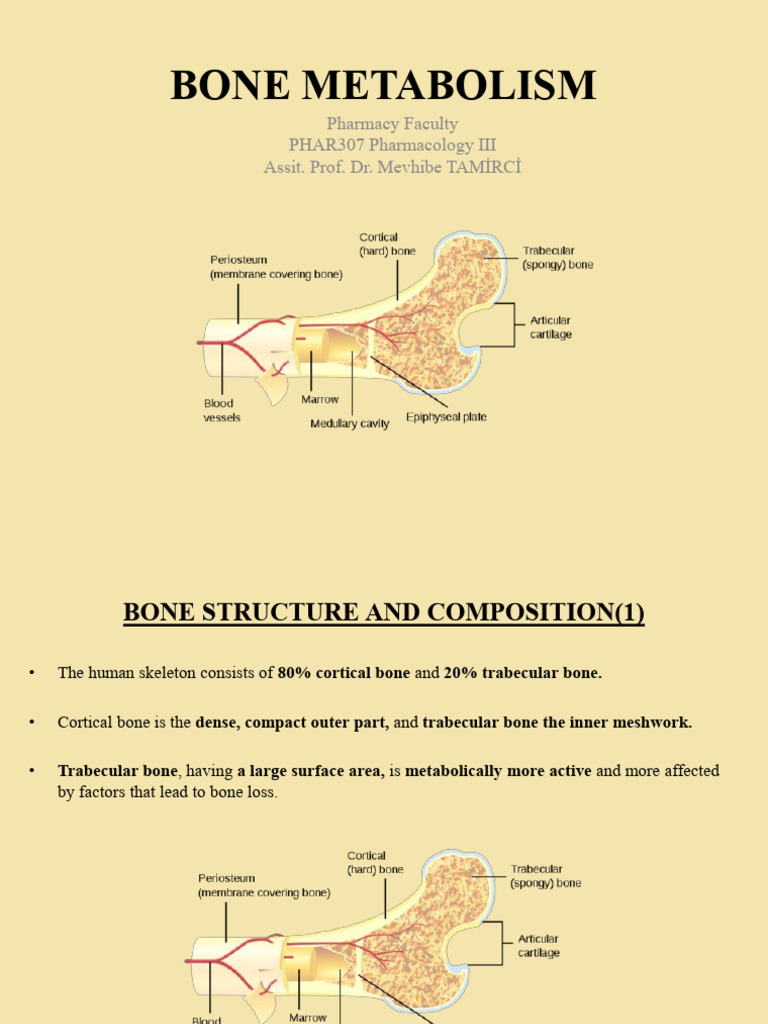 3_Lecture_PHAR307 Pharmacology III - Bone metabolism ...
