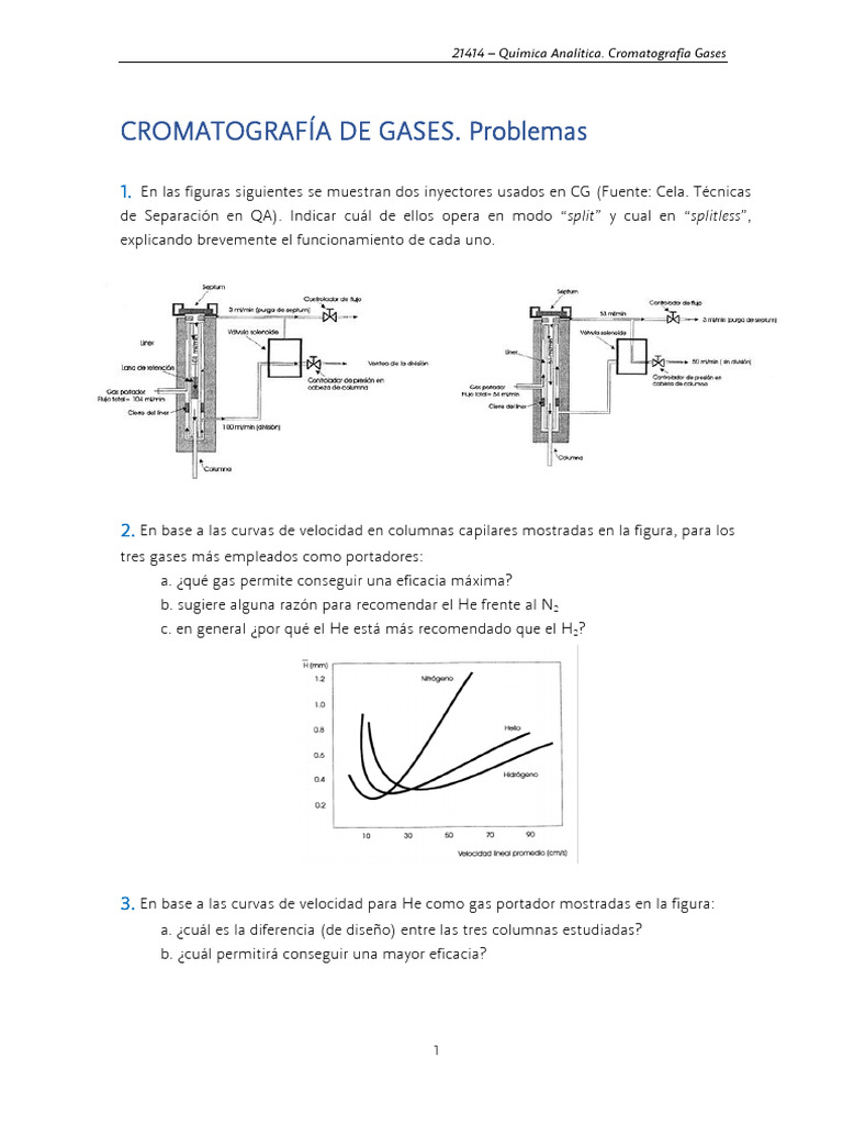 Exercicis de Fonaments de Cromatografia | PDF | Cromatografía | Cromatografía de gases
