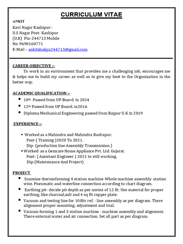 Curriculum Vitae: Career Objective | PDF