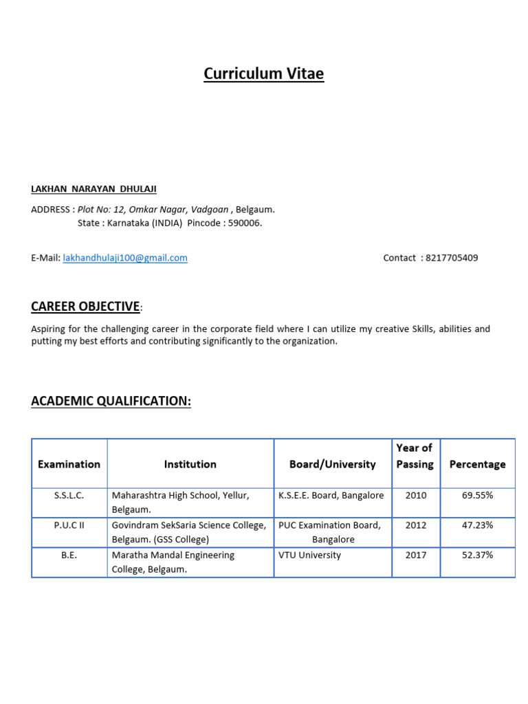 Lakhan Dhulaji's Professional CV | PDF