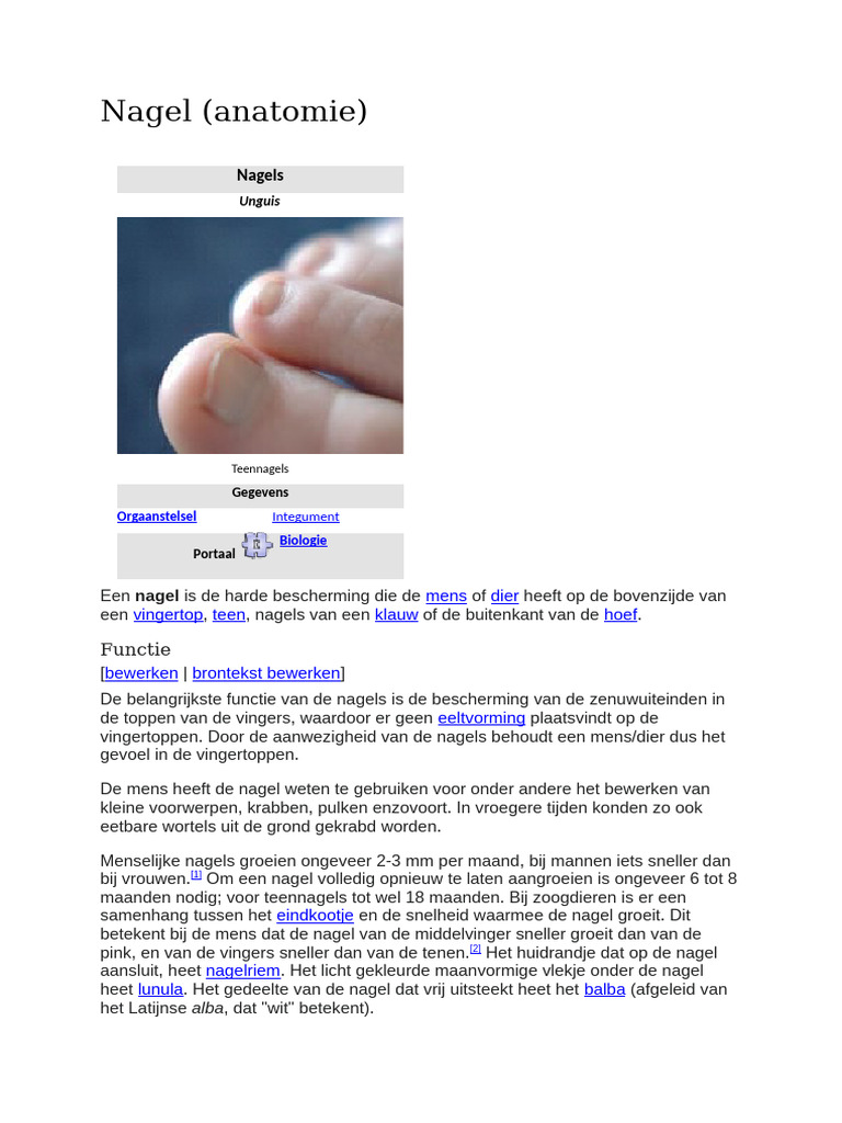 Nagel | PDF