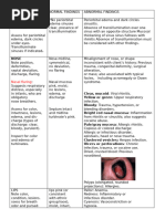 Hazelbaker ATLFF | PDF | Tongue | Mouth