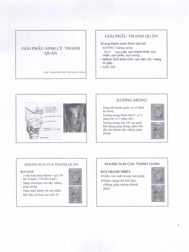 Giải Phẫu TQ | PDF