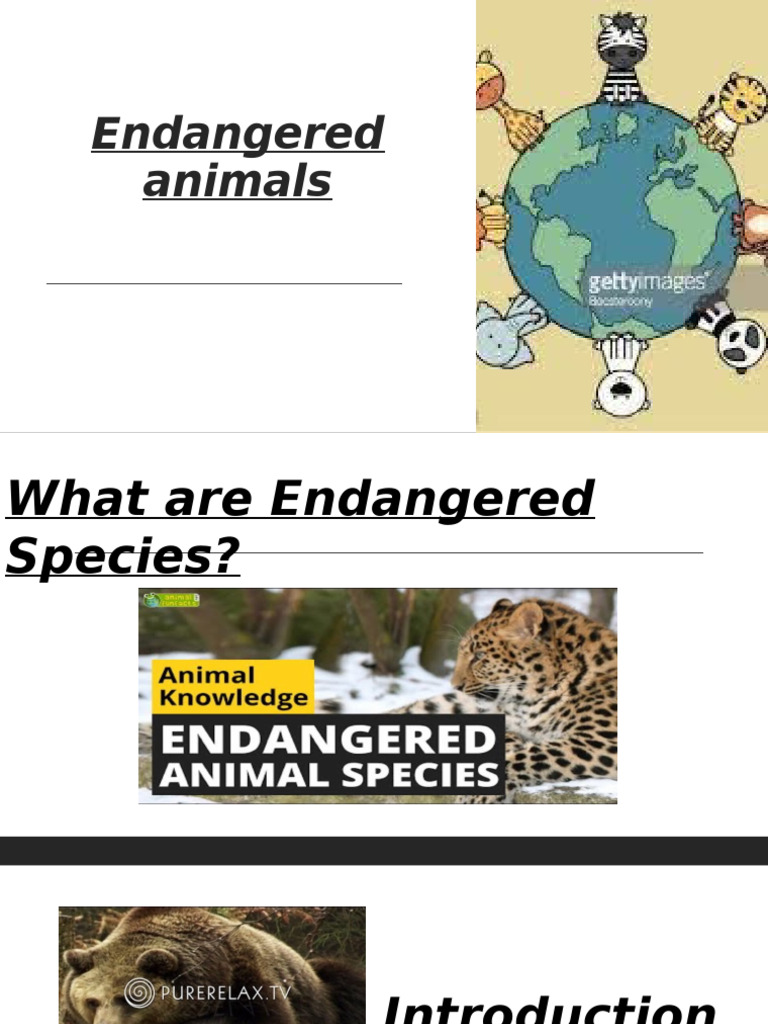 Endagenred Animals | PDF | Endangered Species | Habitat Destruction