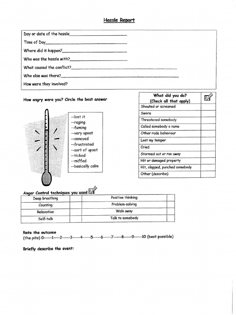 Hassle Report PDF | PDF