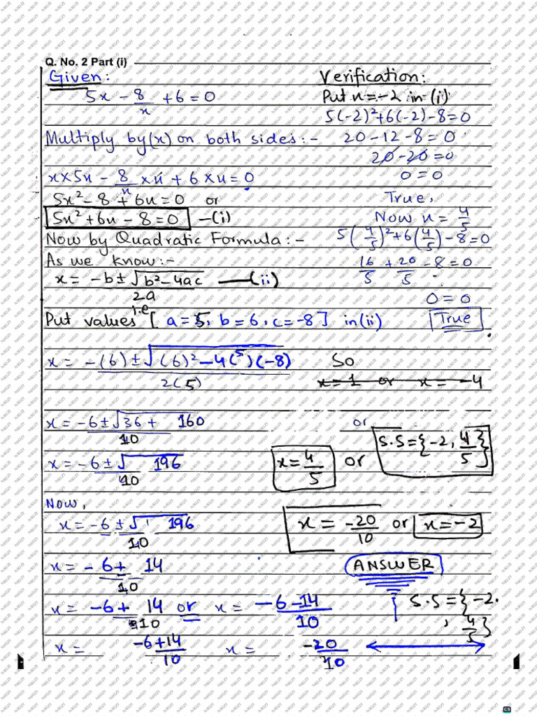 Niazi Mathematics Solved E-Sheet Paper (Sample) | PDF
