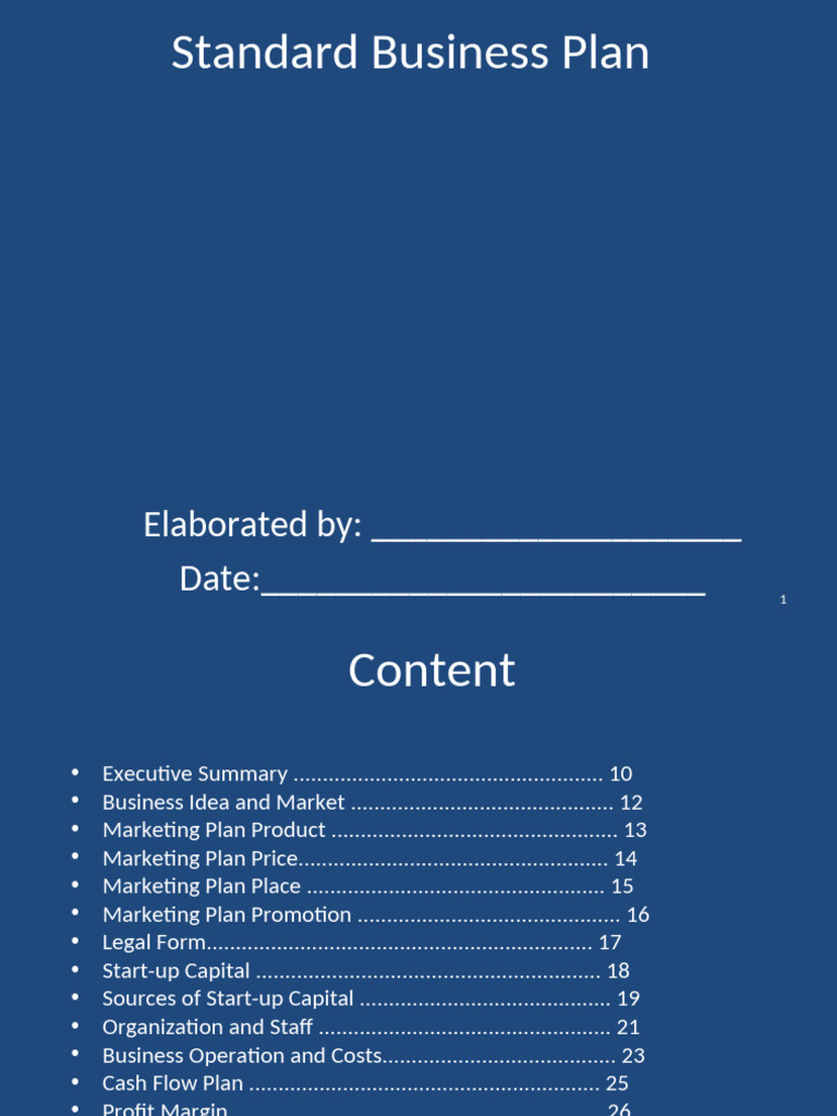 Standard Business Plan Format | PDF