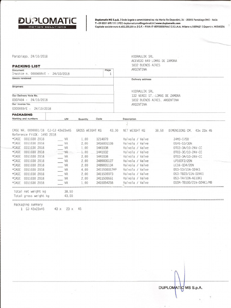 Packing List Duplo | PDF