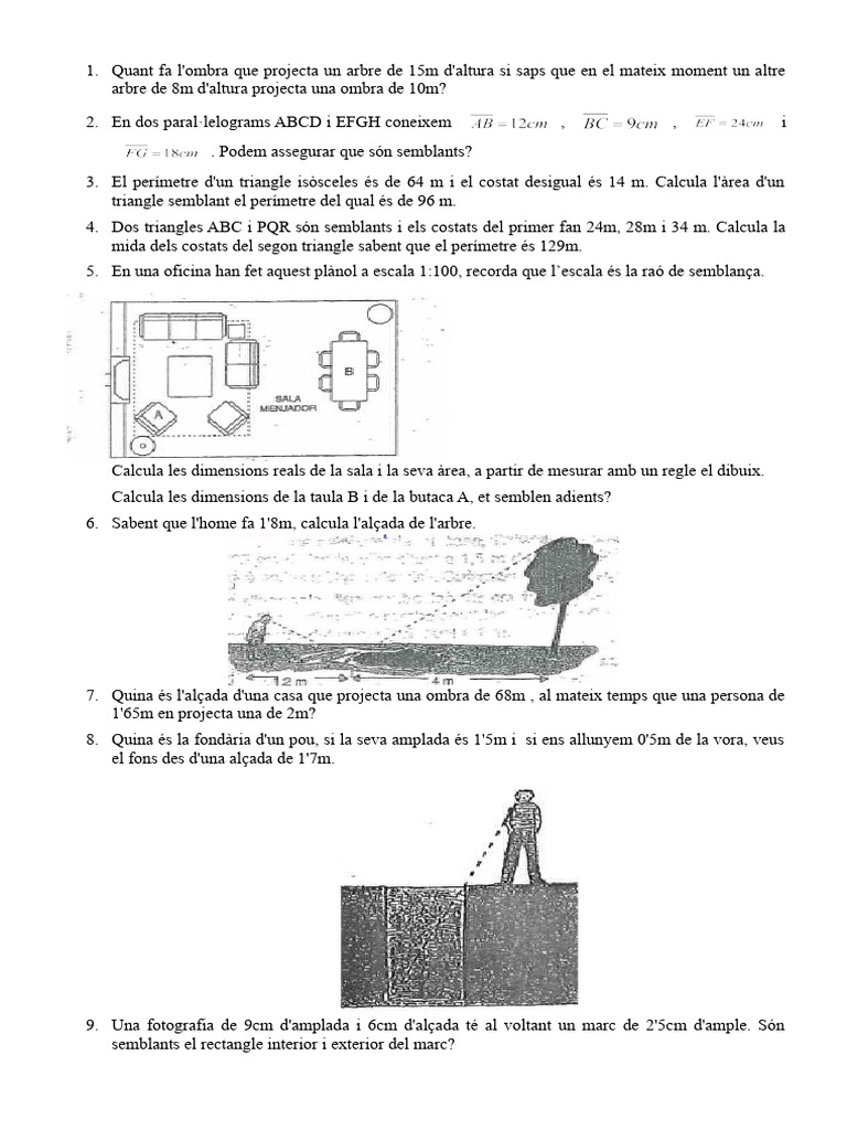 Exercicis Semblances i Teoremes | PDF
