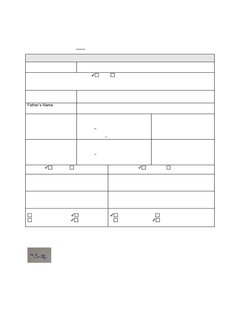 (REVISED) IBC Background Declaration Form | PDF | Identity Document ...