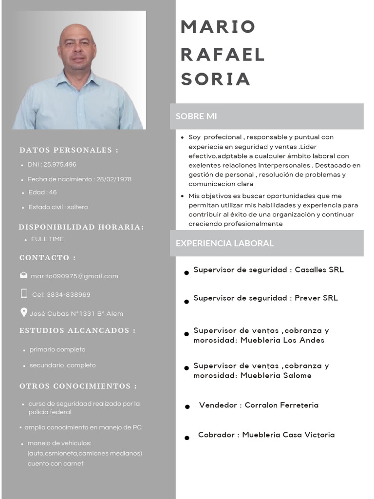 Perfil Profesional de Mario Soria | PDF