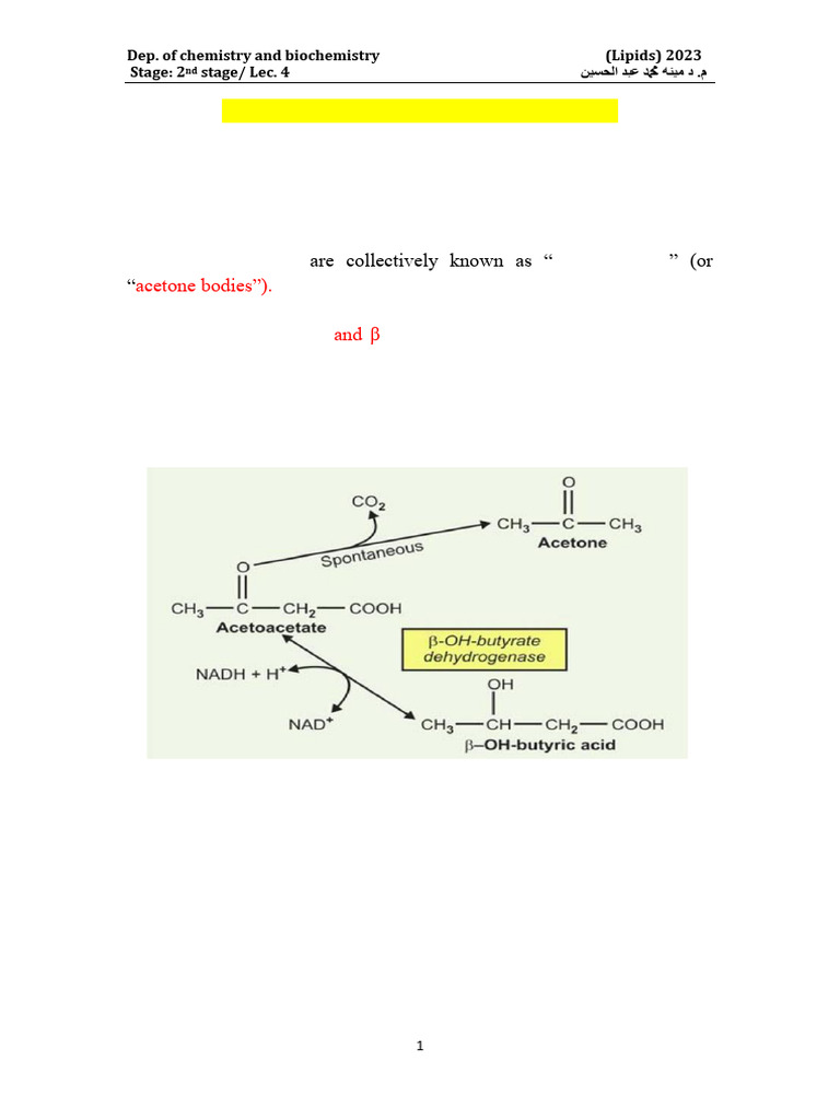 Ketones Bodies Formation | PDF | Ketosis | Organic Compounds