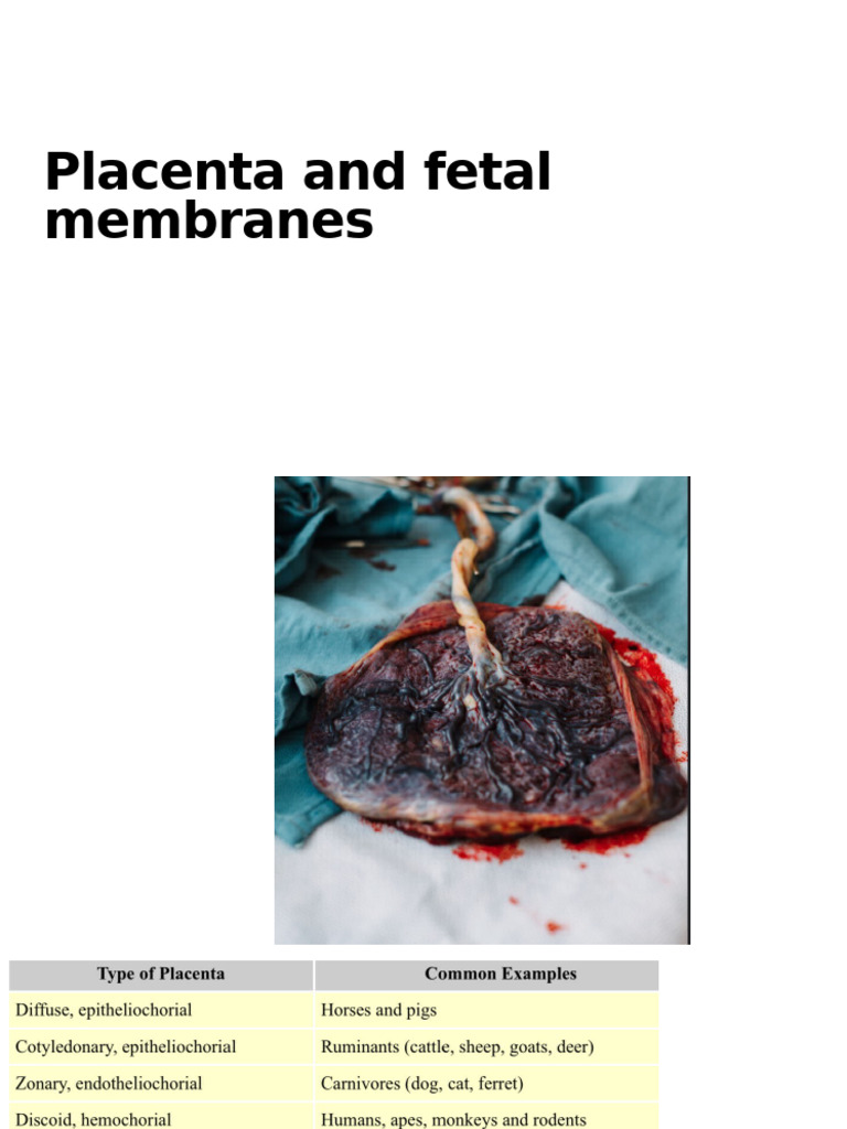 Placenta and fetal membranes | PDF