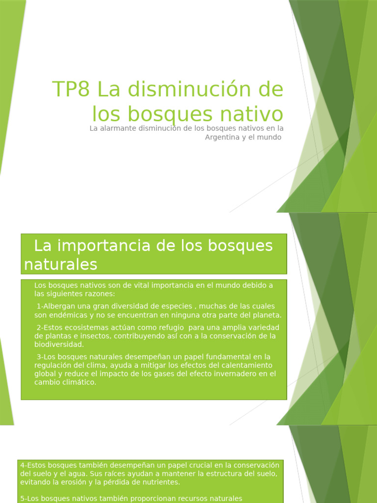 TP8 La Disminución de Los Bosques Nativo | PDF | Los bosques | Deforestación