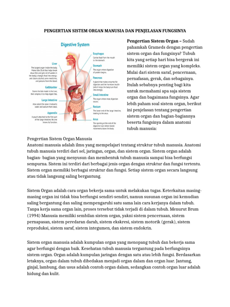 Pengertian dan Fungsi Sistem Organ Manusia | PDF